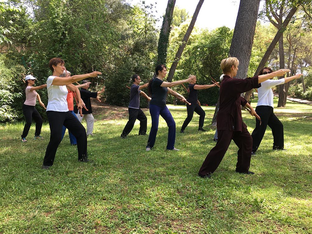 Programme de Tai Chi Chuan - Association de Tai Chi Chuan du Sud Lyonnais